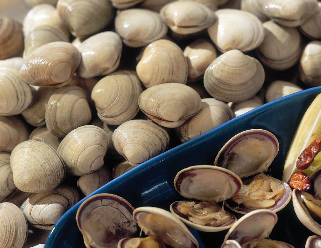 Raw Materials – Fishes – PCS